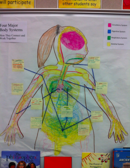 Novel Ways to Study the Workings of the Human Body: (Grades K-1 / Grade ...