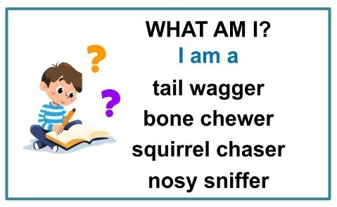 Kenning Riddles for Little Scholars ~ Fun with S.C.A.M.P.E.R. - Big ...